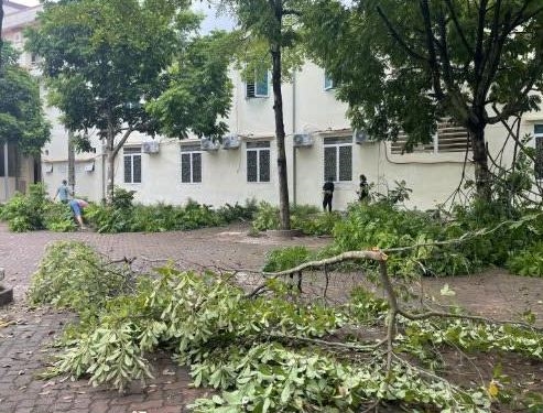 Thư mời chào giá - Bệnh viện Từ Dũ